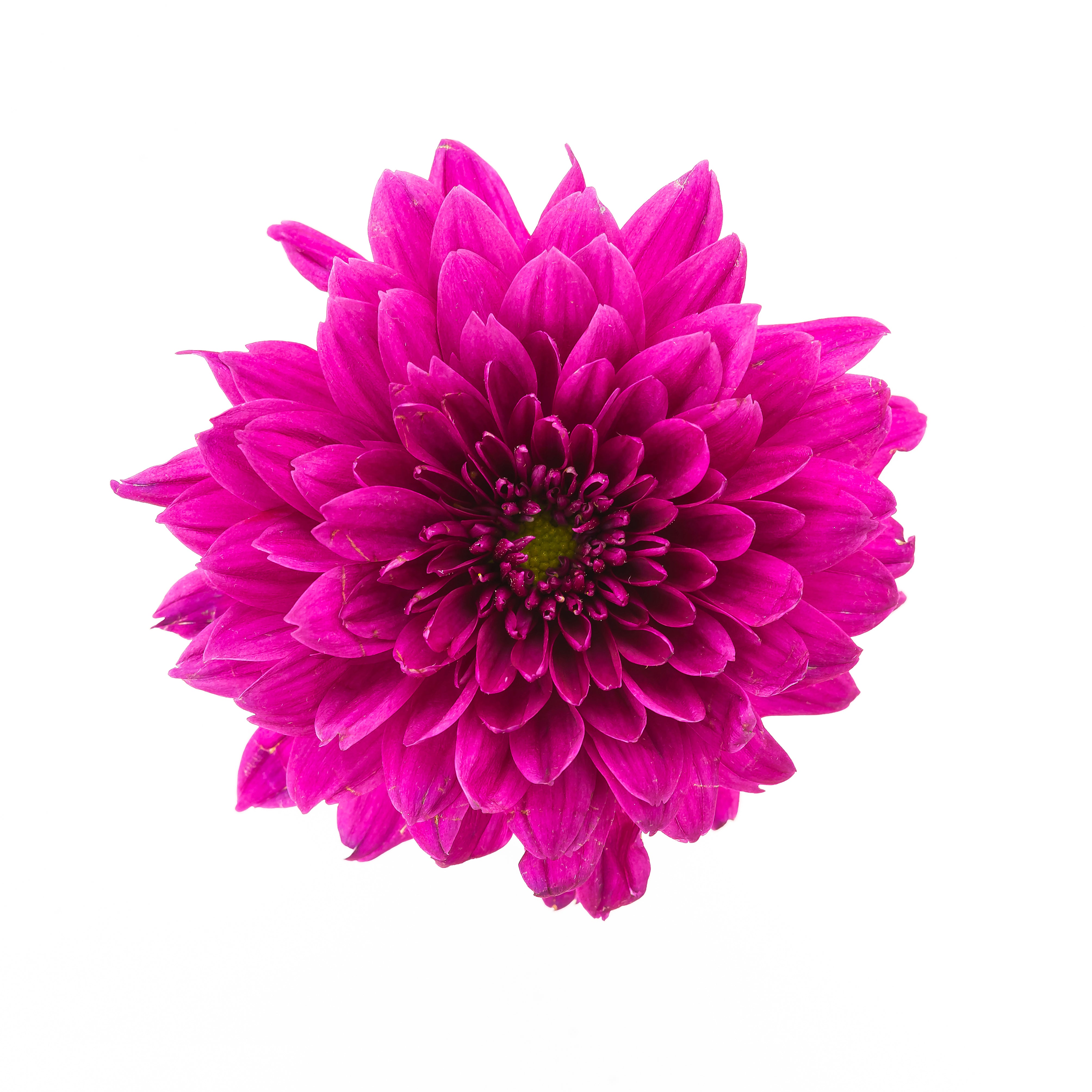 Ninurta Perfumería Online | Perfumes Originales en Costa Rica – Ninurta ...